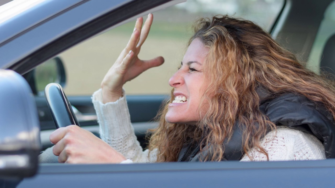 The Human Disconnect from Nature is the Problem – Elvia Thompson - YouTube