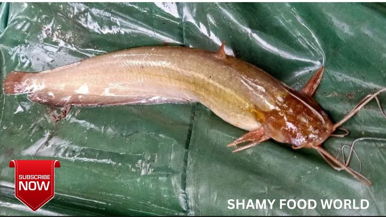 UNIQUE MANGUR FISH CUTTING IN AMAZING STYLE BY IN FISH MARKET || HD ...
