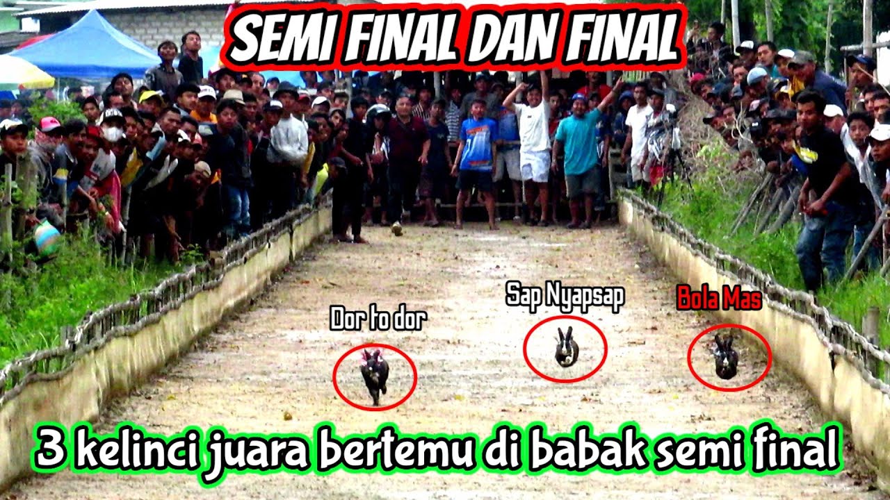 Babak semi final dan grand FINAL di lapangan Embong anyar sampang ||kerapan kelinci - YouTube