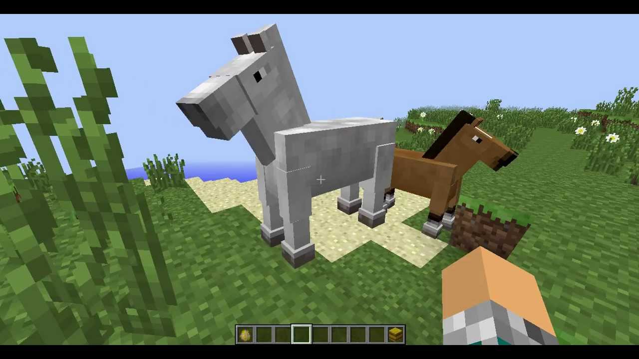 Como Domar Cavalos No Minecraft 1.6.2 Ate 1.7.2 :D - YouTube