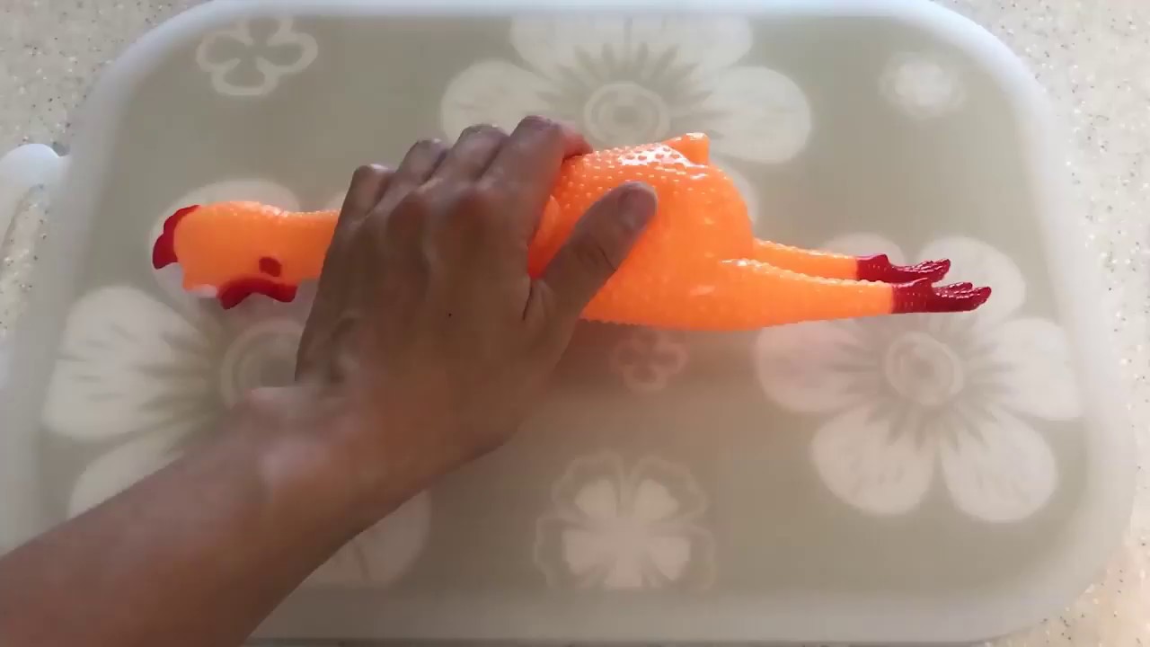 Stop Motion : Rubber Chicken Cooking - YouTube