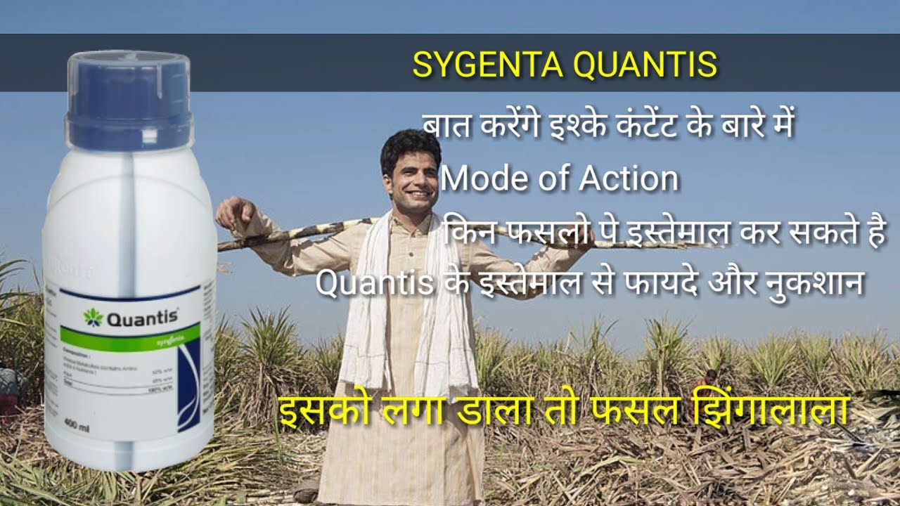 Quantis सबसे बेहतर क्यू है। Syngenta Quantis । Bio Stimulants । Plant ...