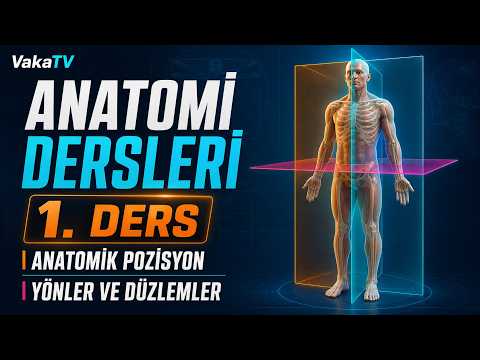 Anatomi Dersleri 1: Anatomik Pozisyon, Yönler ve Düzlemler