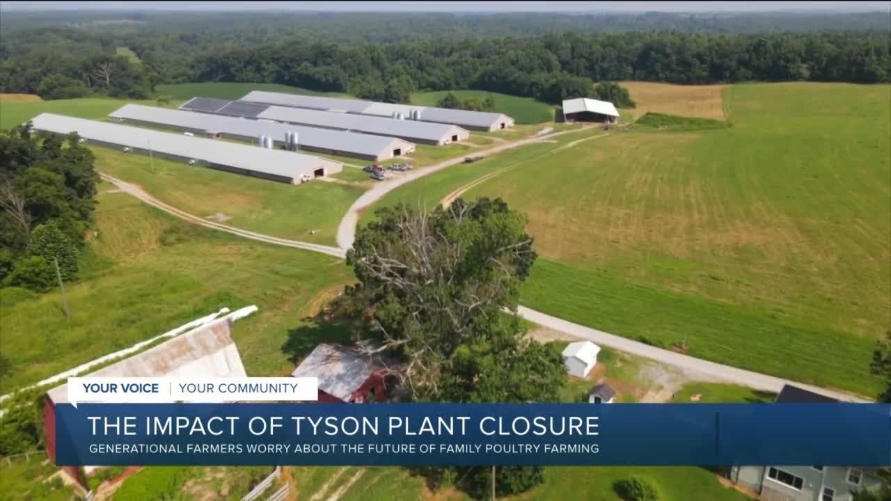 Tyson plant closure hurting more than just farmers - YouTube