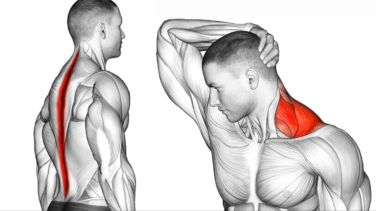 Neck & Back Pain? Do This to Fix Your Posture & Avoid Pain! - YouTube