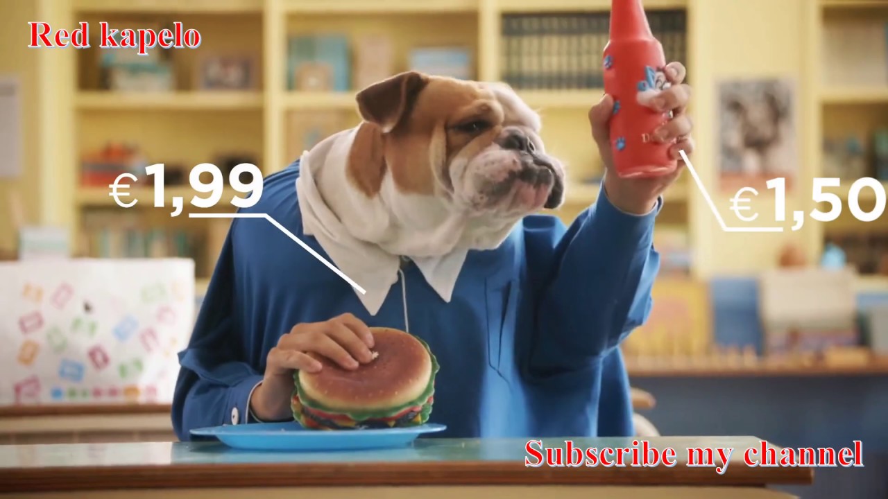 ΝΕΑ ΔΙΑΦΗΜΙΣΗ JUMBO 2019 ΠΡΙΝ ΓΑΒΓΙΣΕΙ ΤΟ ΚΟΥΔΟΥΝΙ ΣΚΥΛΑΚΙΑ ΓΑΤΑΚΙΑ ΣΑΝ ...