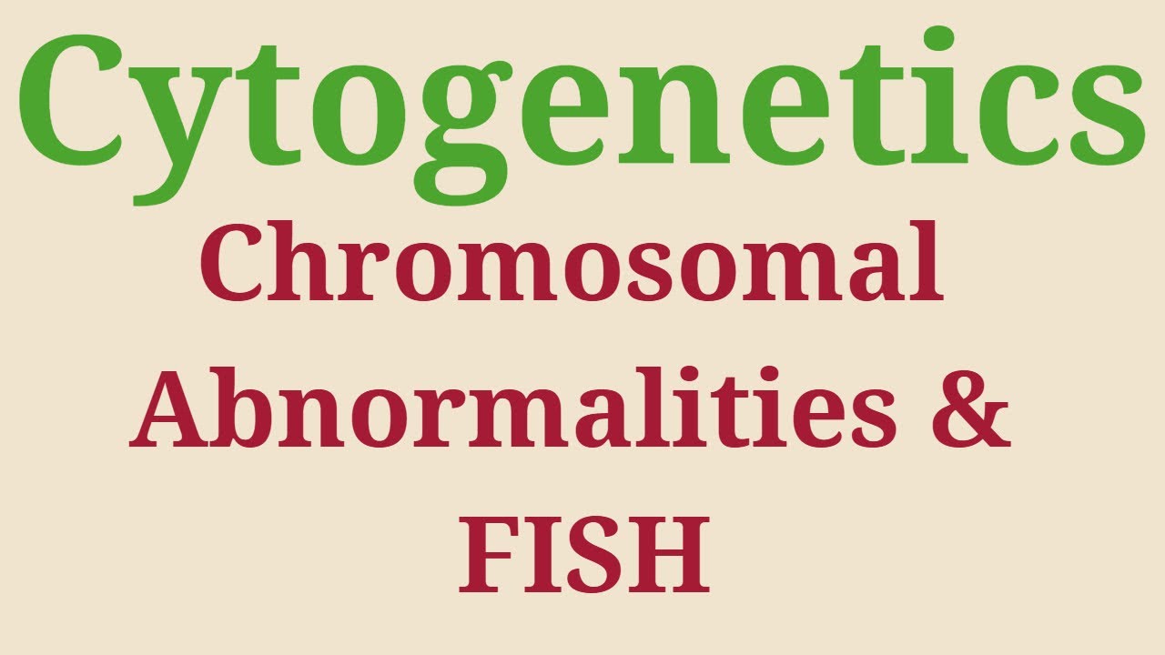 Chromosomal Abnormalities & FISH Explained | Cytogenetics - YouTube