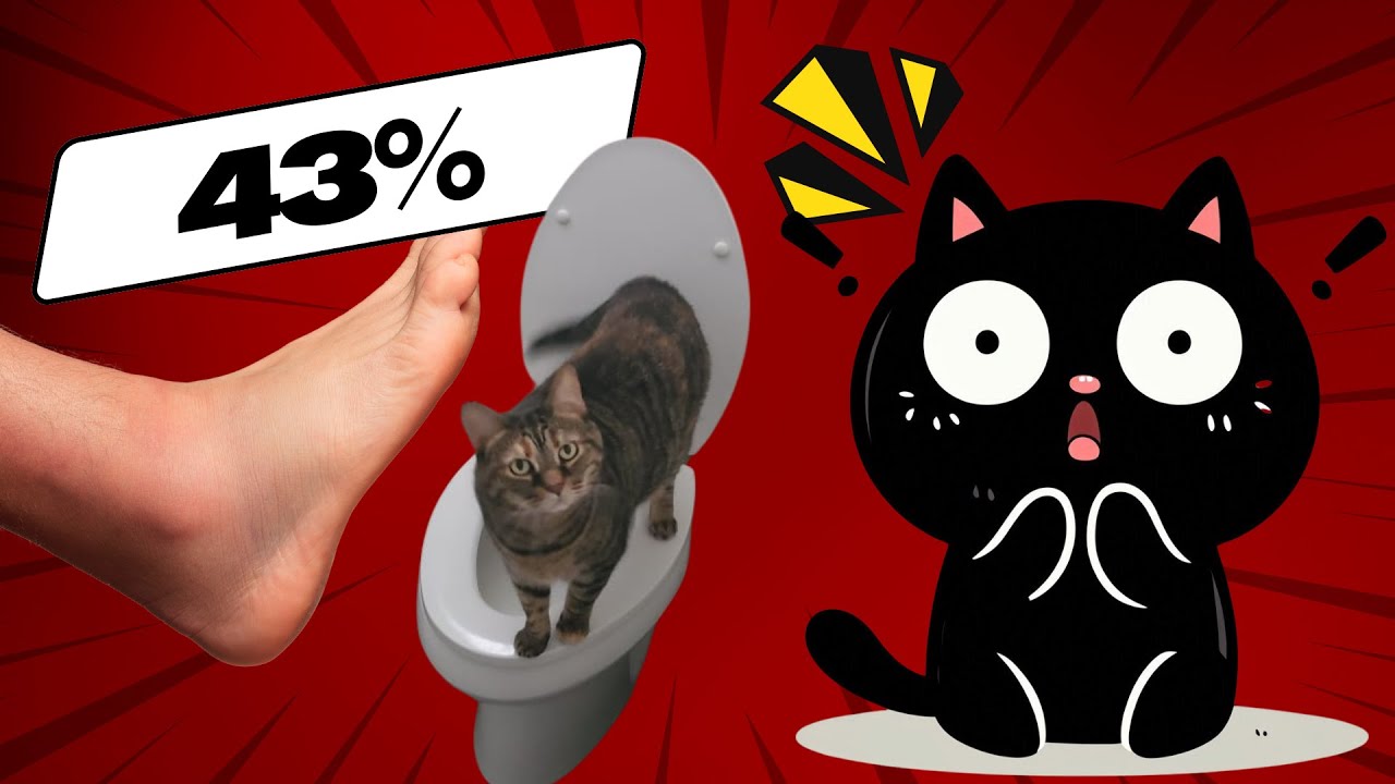 Step and Flush The Foot Flush Phenomenon! - YouTube