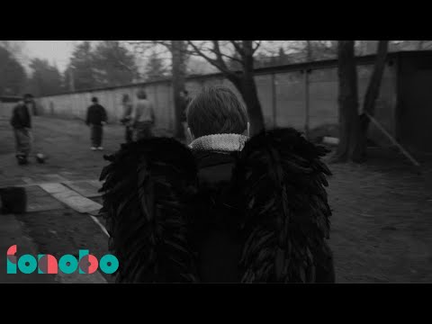 Markus ivi – Ptaki (Official Video)