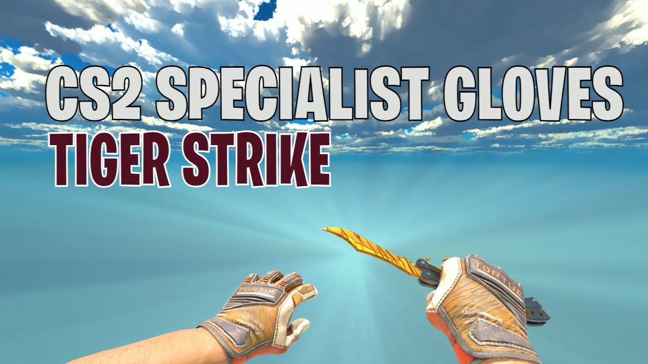 Specialist Gloves Tiger Strike Battle-Scarred | CS2 Skin Showcase #651 ...