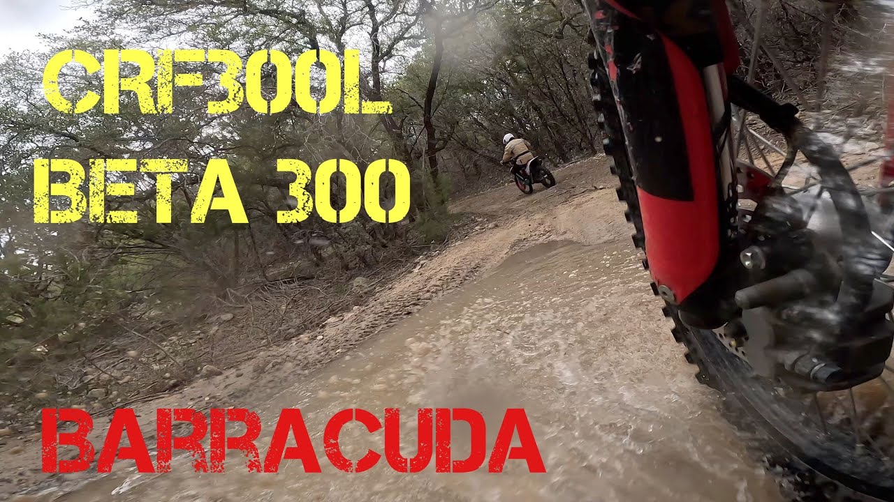 Moto music video - CRF300L chasing the Beta 300 - Barracuda - YouTube