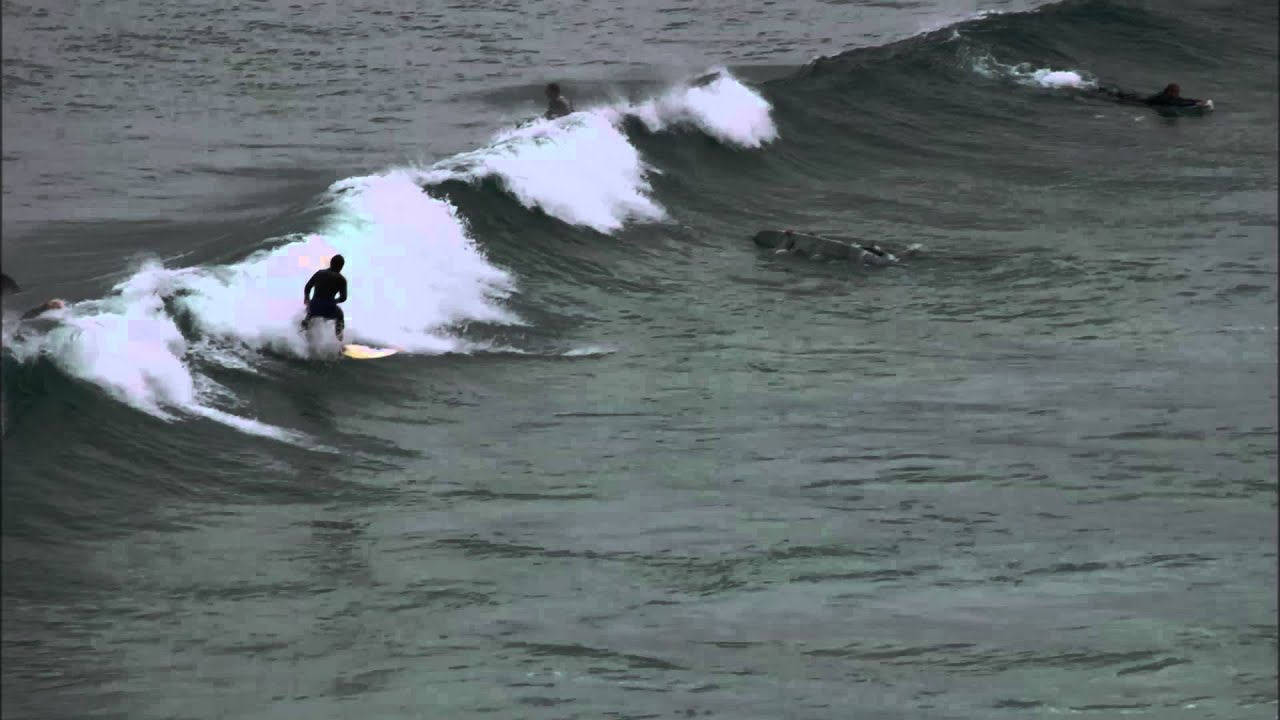 Sharron Foster - Professional Profile, Photos on StarNow