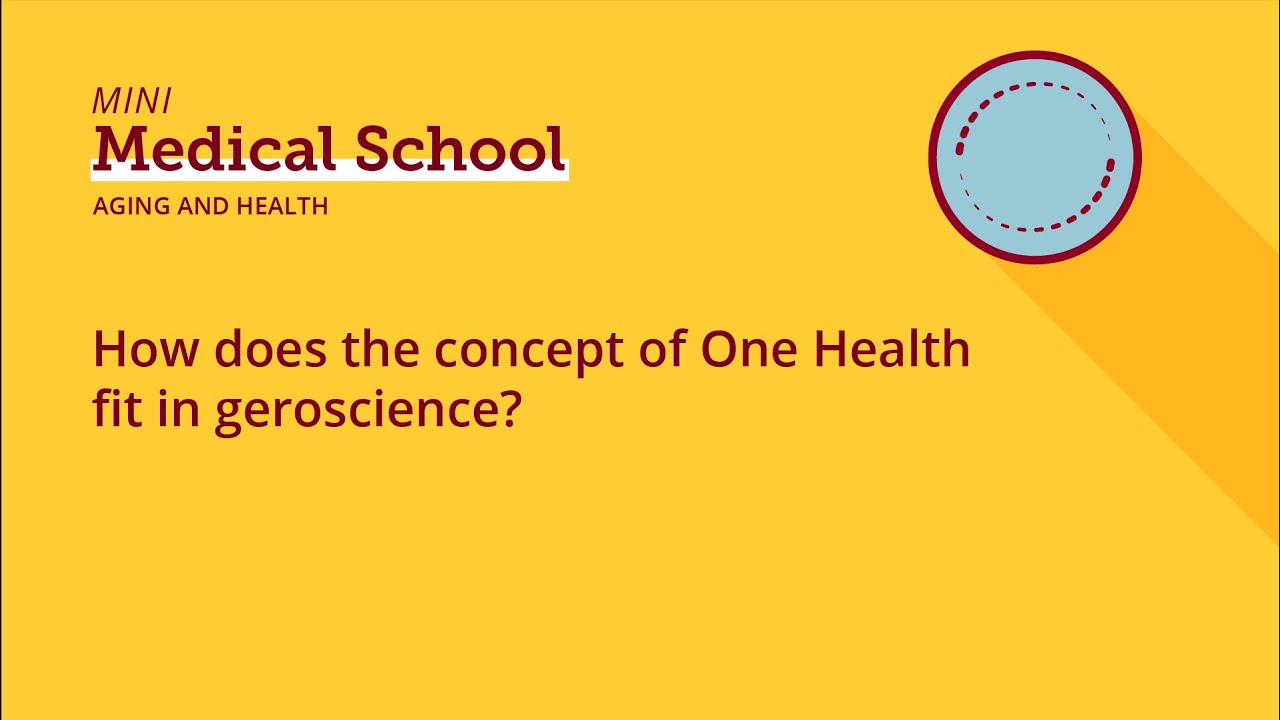 How does the concept of One Health fit in geroscience? - YouTube
