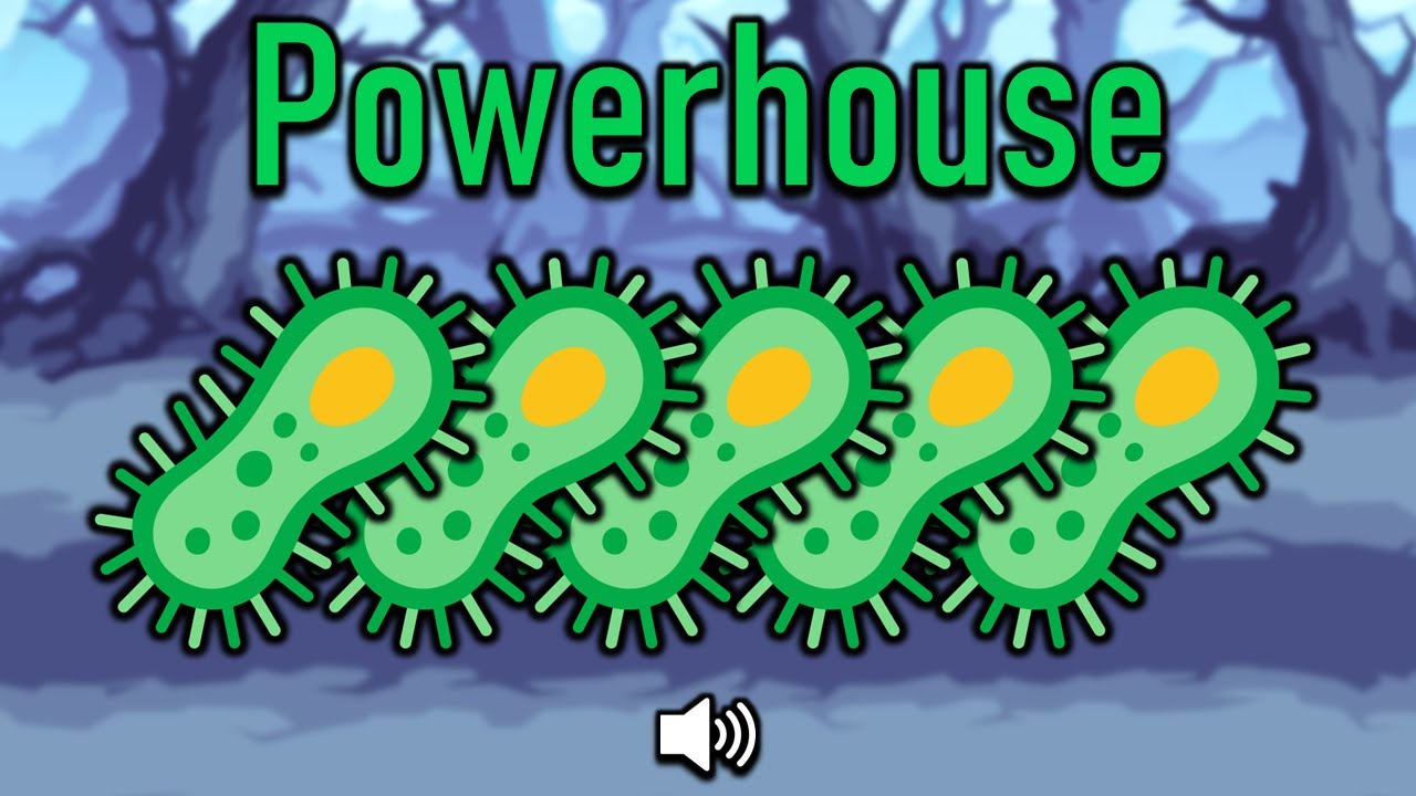 Full Microbe Team Win (Super Auto Pets 5 Of A Kind) - YouTube