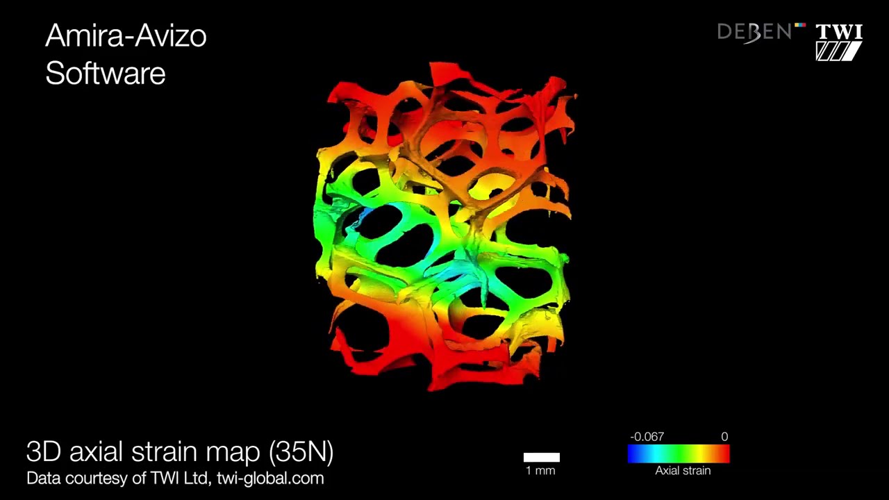Avizo for DVC | Analysis of 10ppi Aluminium open cell foam under ...