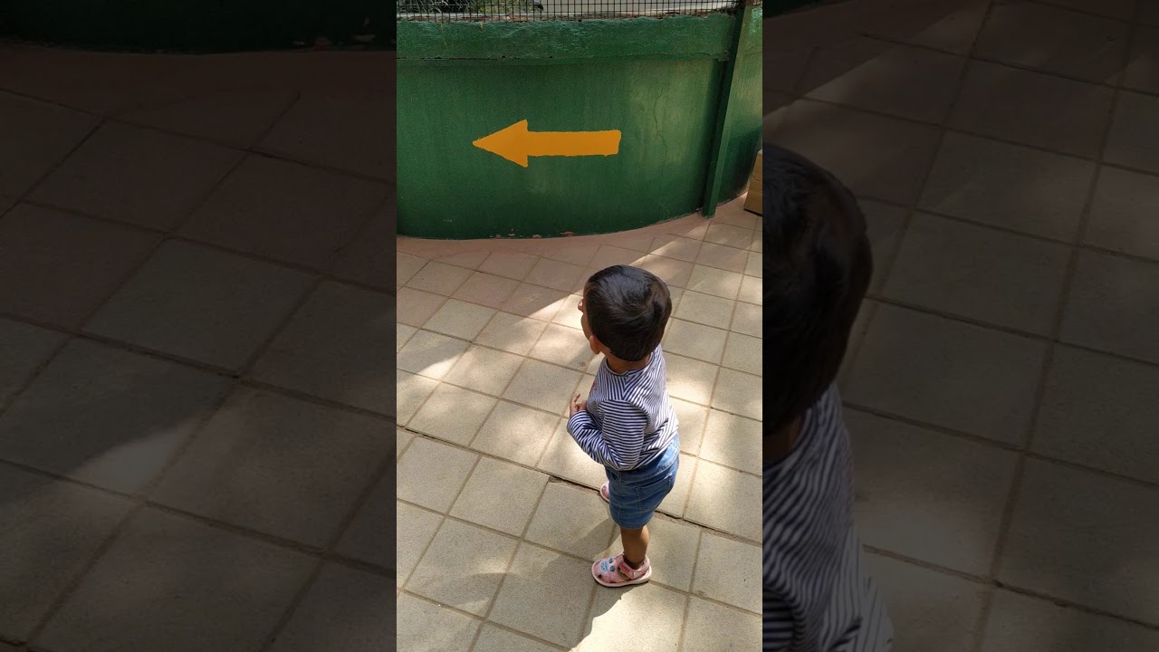 Daddy.. Wait for me - YouTube