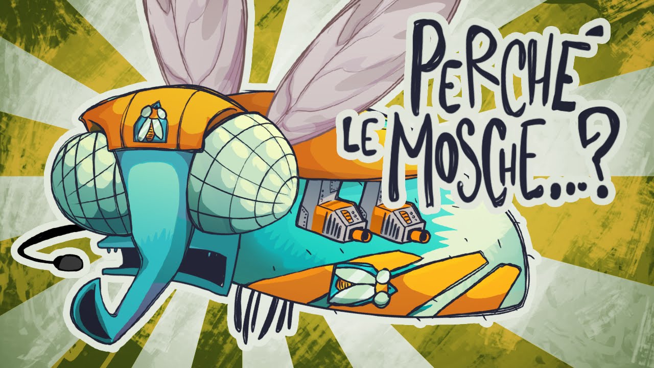 Perché le MOSCHE volano in CERCHIO? • Fraffrog - YouTube