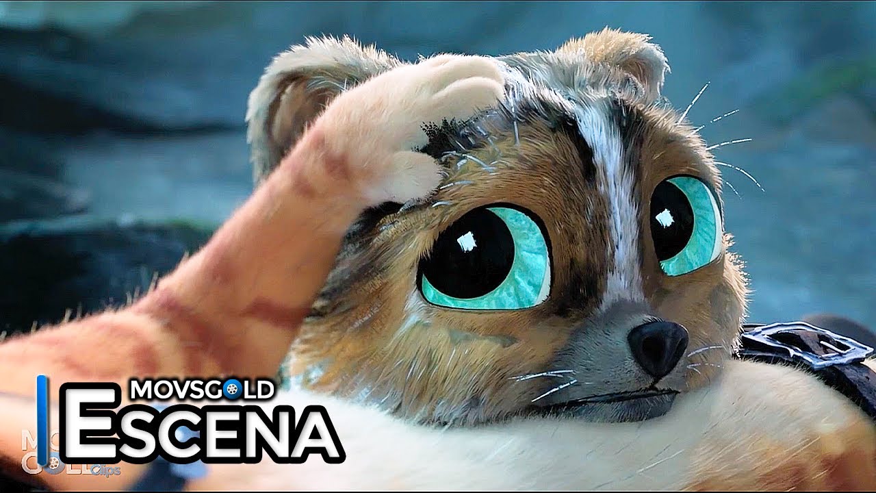 Perrito calma el ataque de ansiedad del Gato con Botas (2022) (Español ...