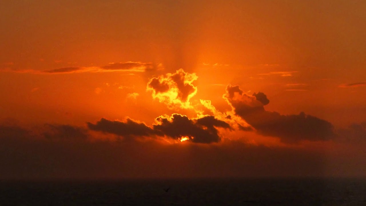 We Shall Rise - YouTube