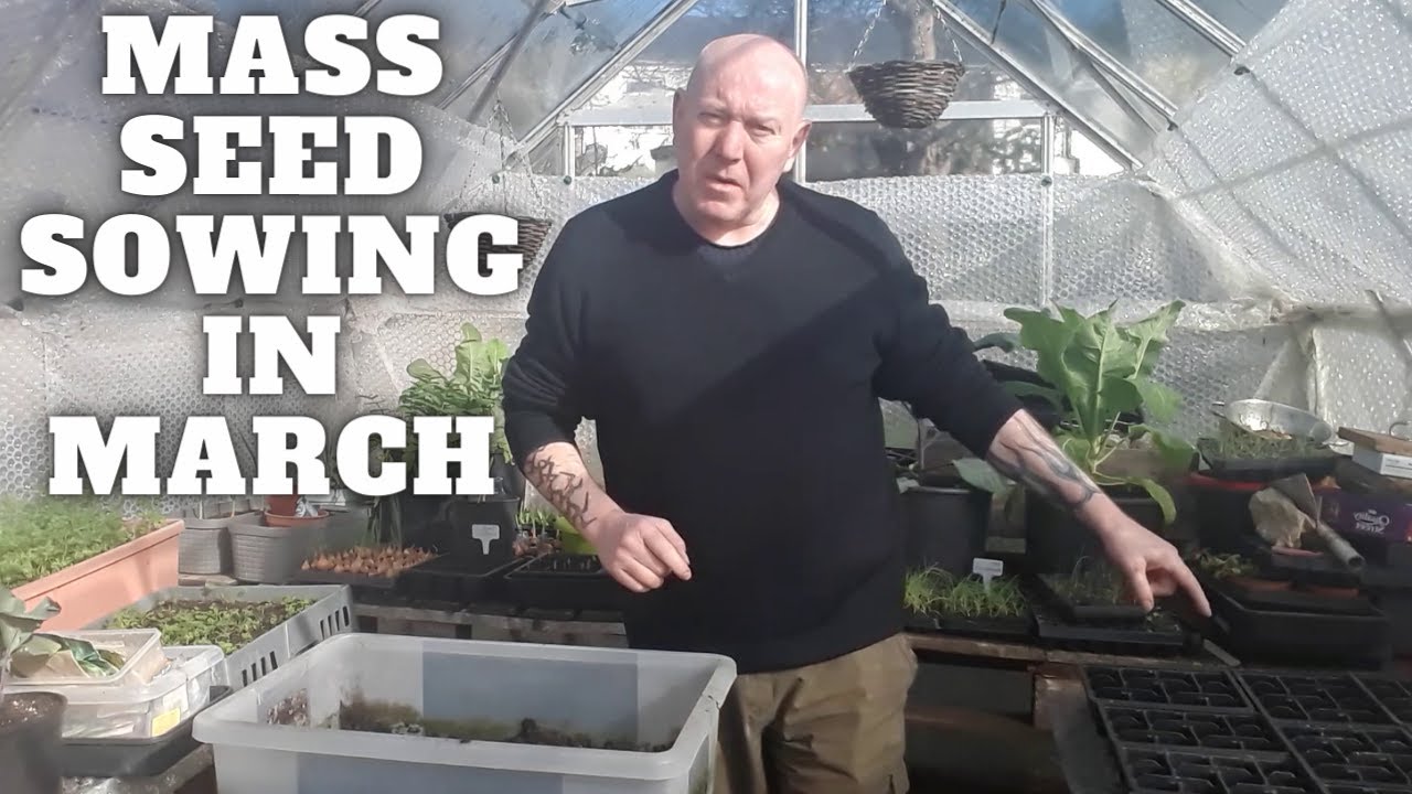 Mass Seed Sowing In March [Gardening Allotment UK] [Grow Vegetables At ...