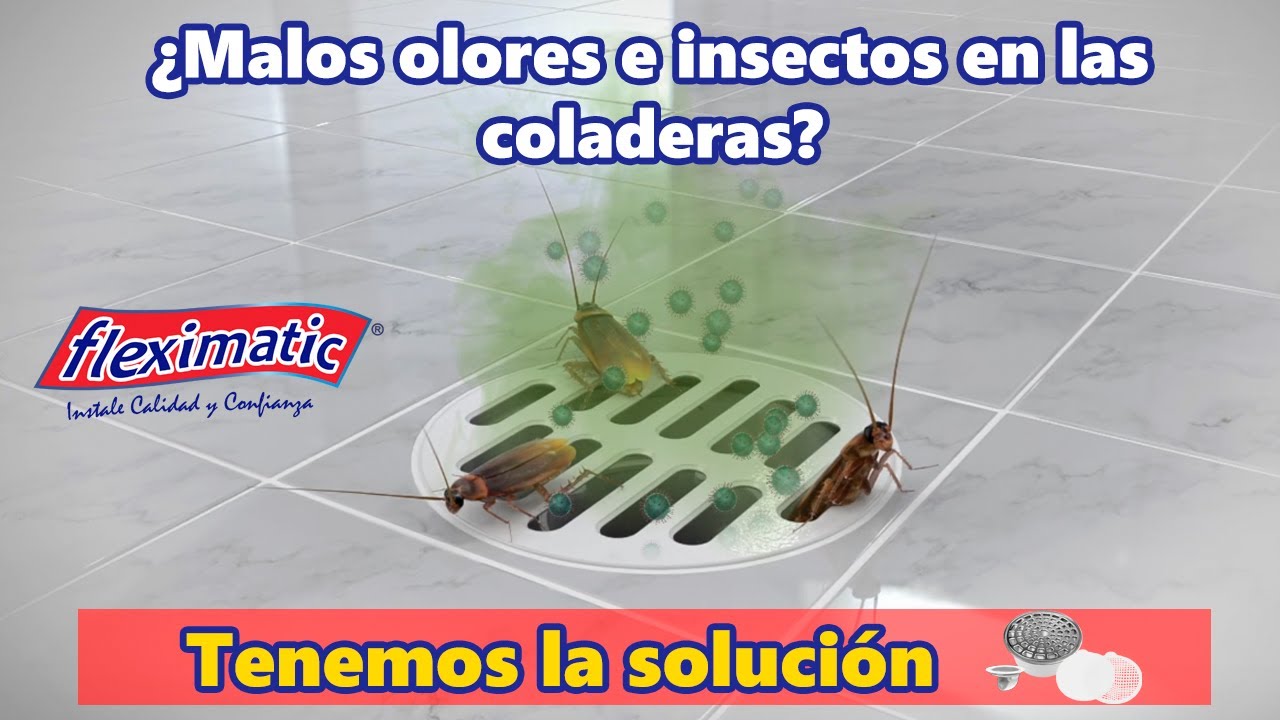 Elimina los malos olores e insectos de las coladeras con la COLADERA ...
