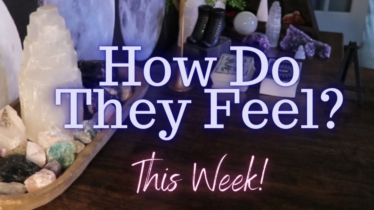 ALL SIGNS Their FEELINGS For YOU This WEEK!! - YouTube