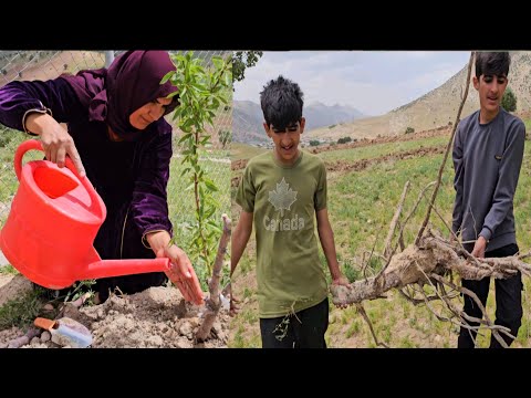 They Can't Sit Still | Nomadic Mountain Family Exposed