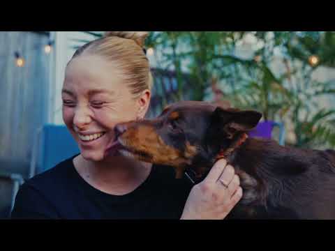 AWLQ - Together for life - Yindi 15s