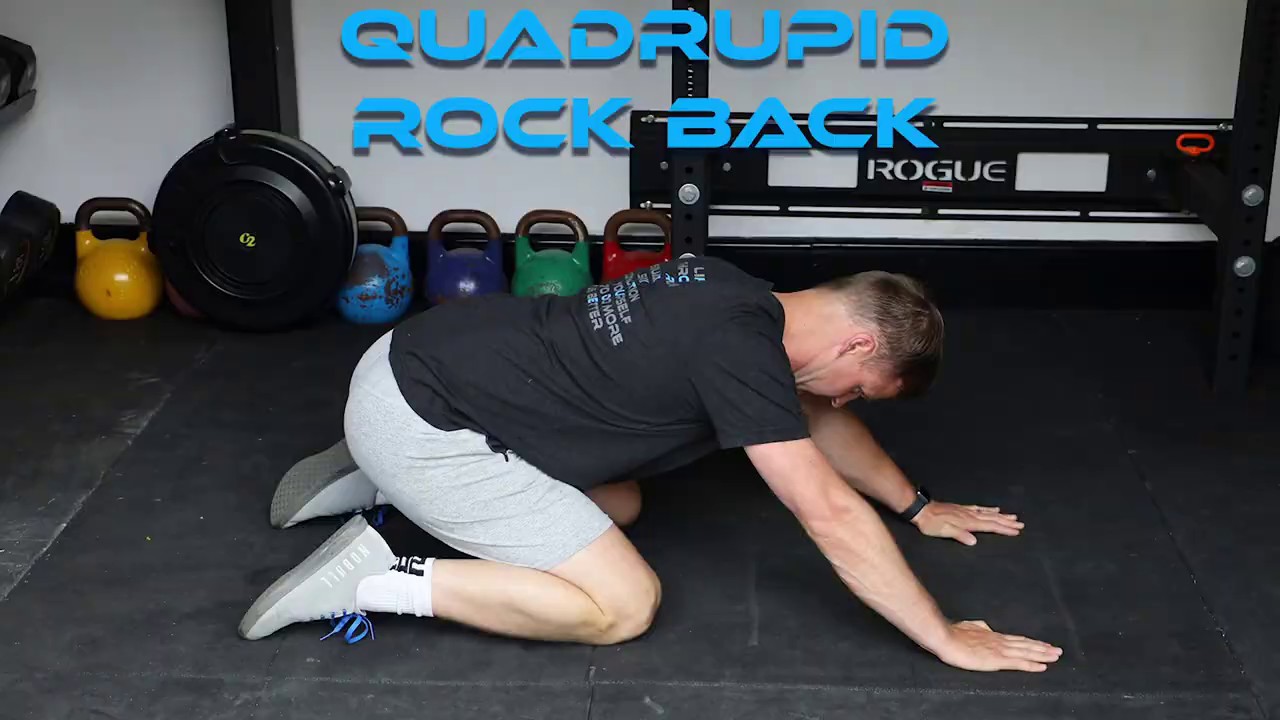 Quadruped Rock Back - YouTube
