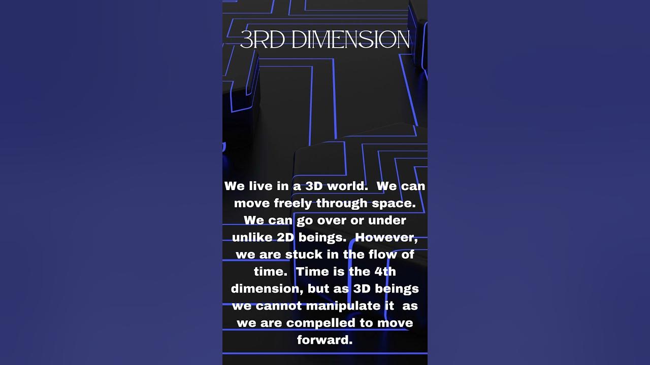 Tap In to the 3rd dimension: Exploring the Human Realm, dimension by ...