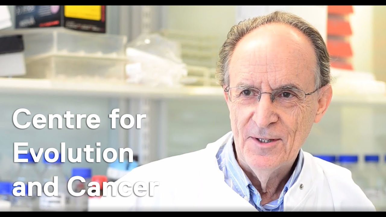 Professor Mel Greaves launches the Centre for Evolution and Cancer ...
