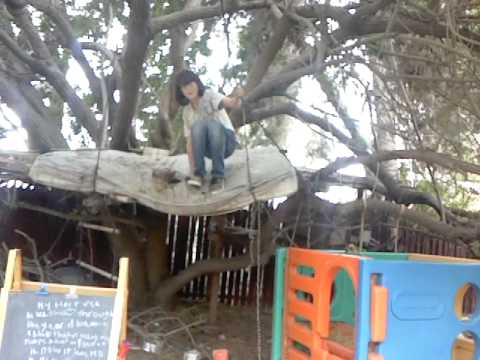 FALLING FROM THE TREEHOUSE *MUST SEE, HILARIOUS!!! - YouTube