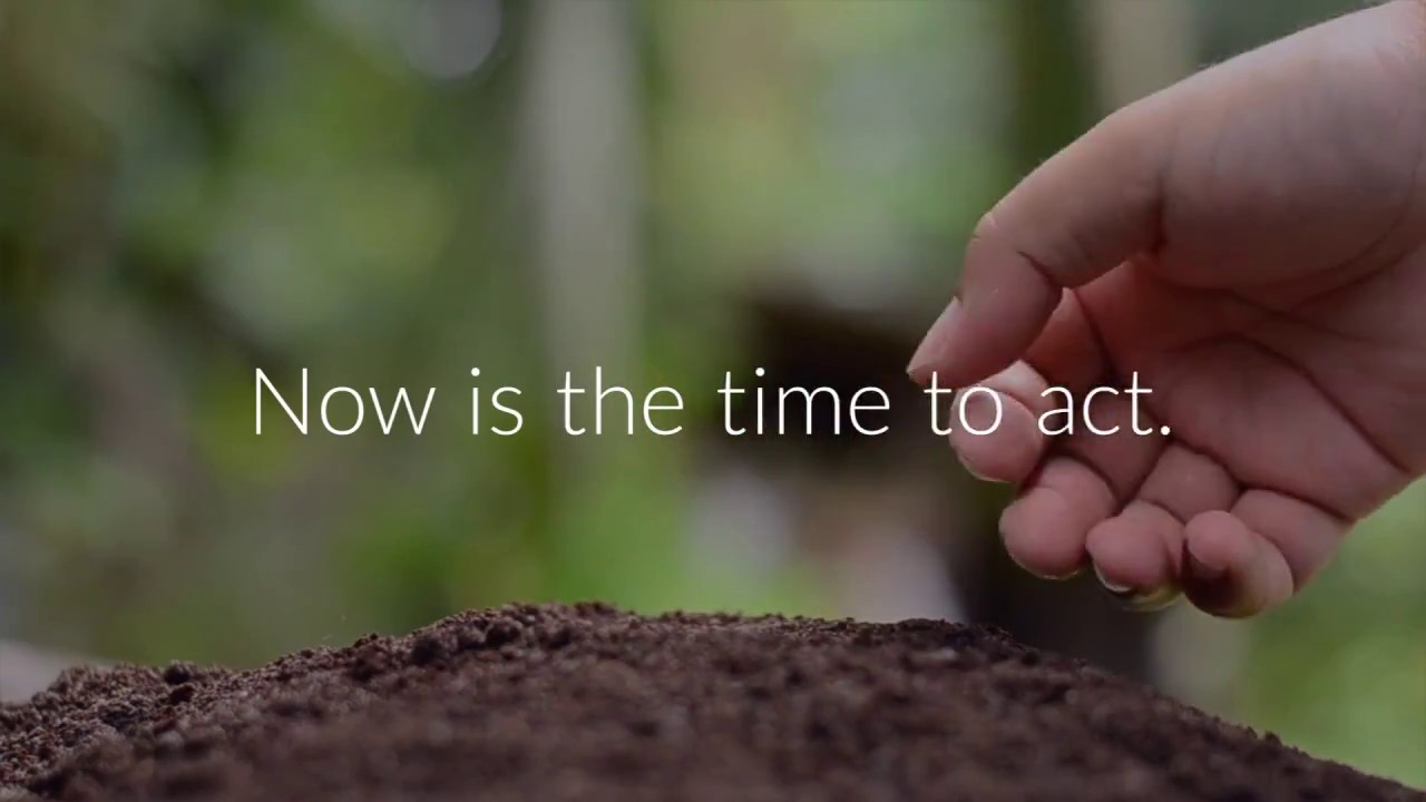 Vote Jen Procter Andrews: Election Time - YouTube