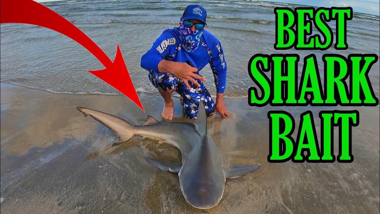 Best Bait For BIG Sharks | 3rd Coast Fishin Sharkathon S1 E1 | SHARK ...