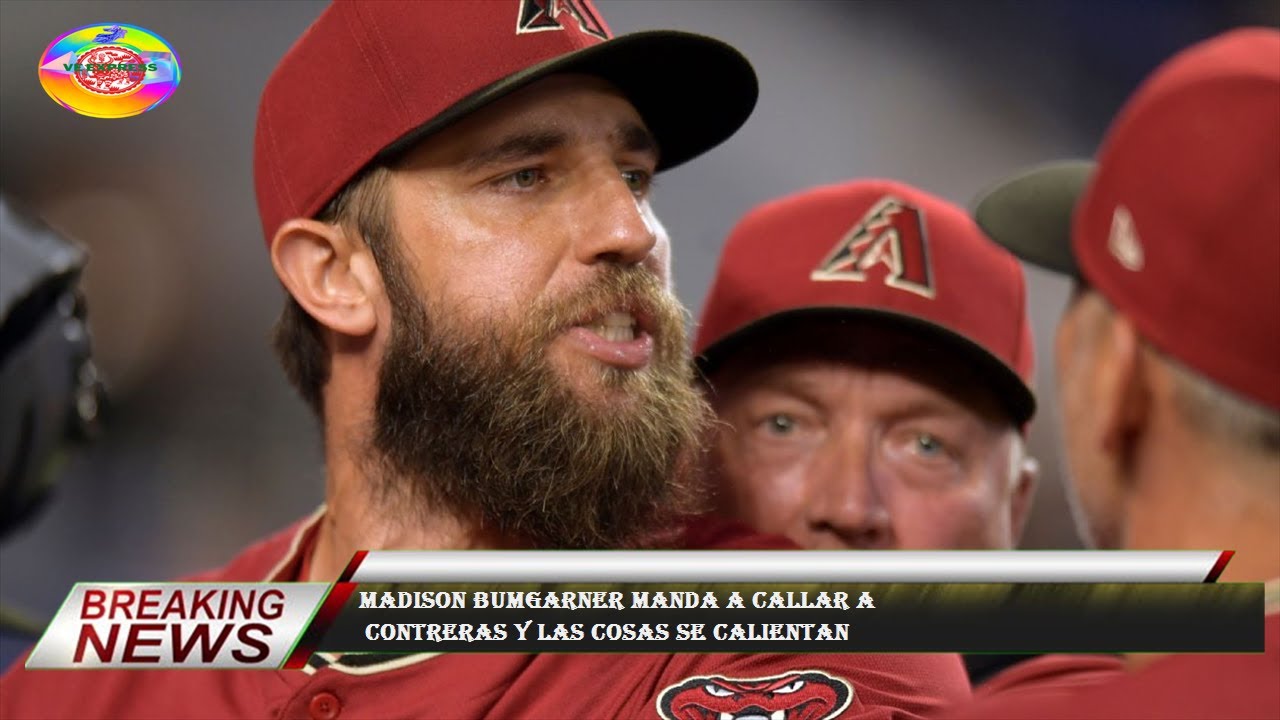 Madison Bumgarner manda a callar a Contreras y las cosas se calientan ...