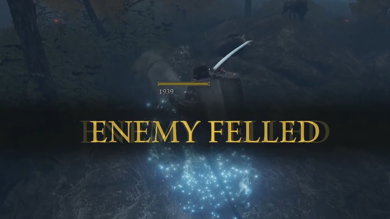 Adum beats Elden Ring boss by accident - YouTube