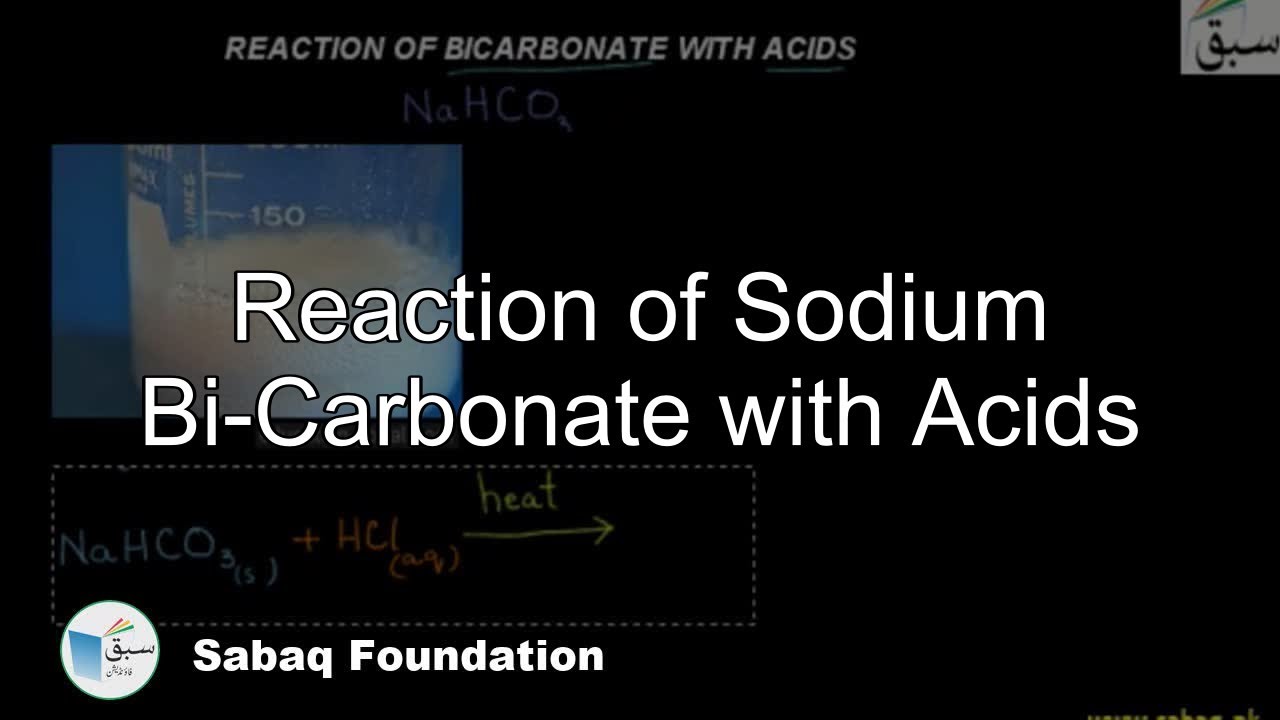 Reaction of Sodium Bi-Carbonate with Acids, Chemistry Lecture | Sabaq ...