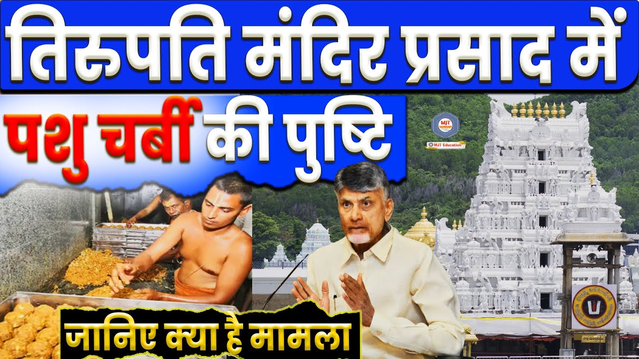 Fat in Tirupati Temple Laddus? The Controversy Explained Tirupati ...