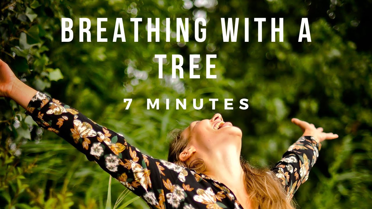Breathing with a tree | Guided meditation - YouTube