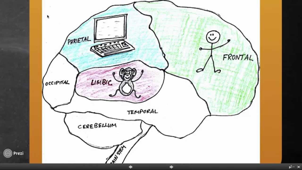 Intro to YouTube (mentioning the Chimp Paradox by Dr Steve Peters ...