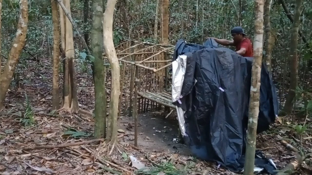 SOLO CAMPING-BUSHCRAFT SHELTER YANG NYAMAN DI HUTAN-ASMR - YouTube