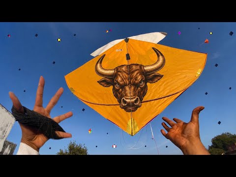 🪁KITE LOOTING NEW VIDEO 😘 | PATANG WALA 🔥| PATANG KI VIDEO 😎 | KITE | PATANG 🪁 