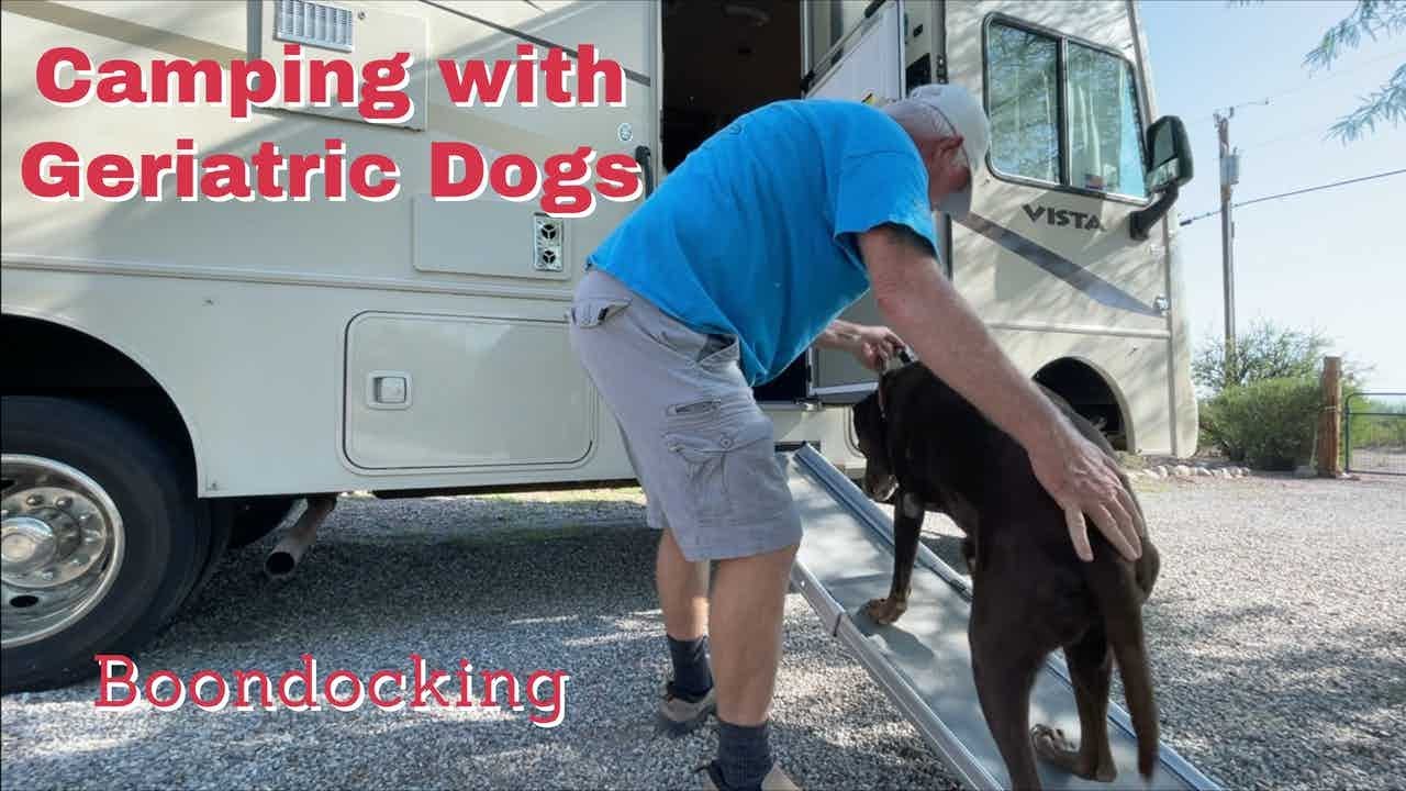 Is it possible? RV Camping with Geriatric Dogs - Wild Horses ...