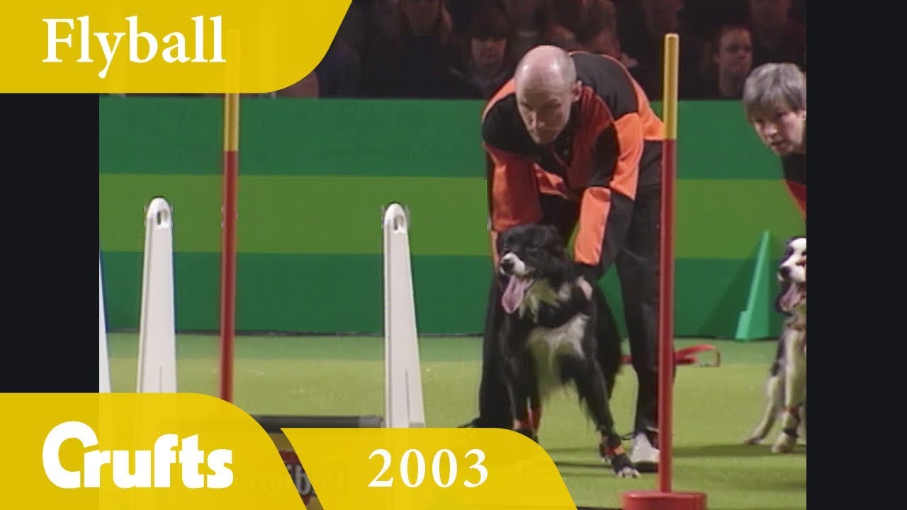 Flyball Final from Crufts 2003 | Crufts Classics - YouTube
