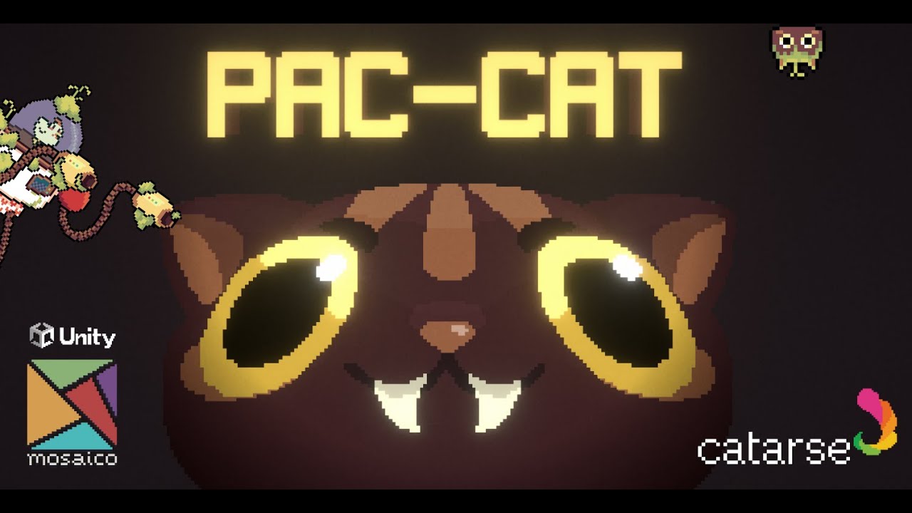 Você tem que conhecer PAC CAT... - YouTube