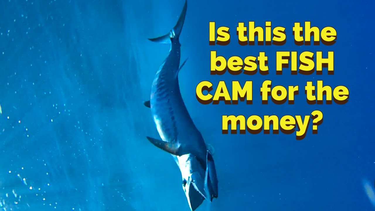 Is this the best UNDERWATER TROLLING CAMERA for the MONEY?? - YouTube