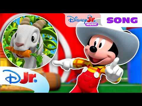 Mickey Plays Hide and Seek! 🫣| Mickey Mouse Clubhouse+: Mickey's Country Farm Songs | Disney Jr.⁩