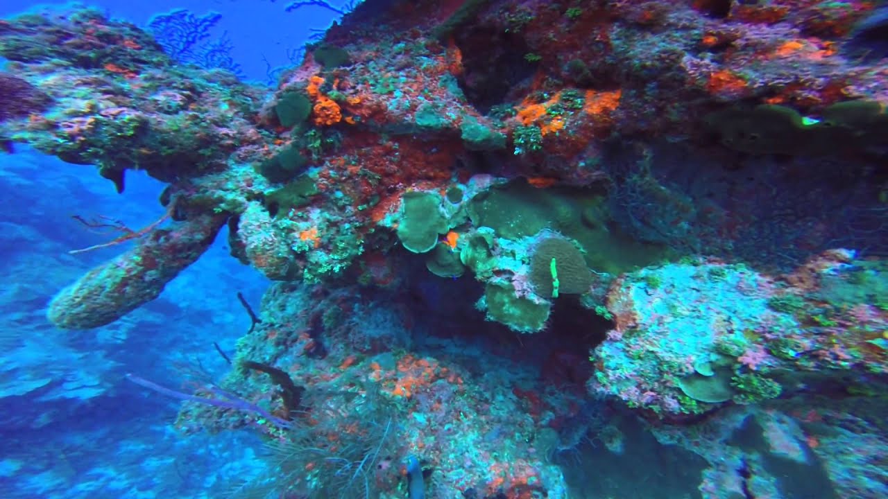 SCUBA Grand Cayman Ghost Mountain - YouTube