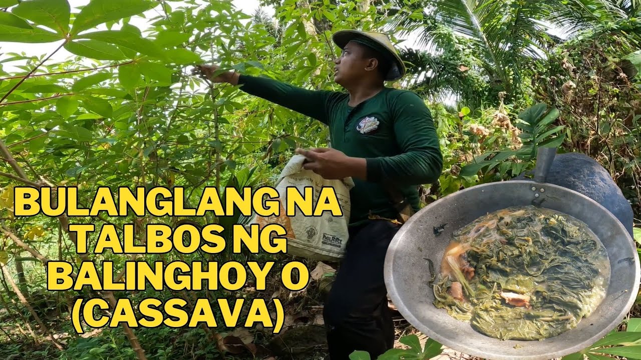 Lutong Probinsya, Bulanglang na Balinghoy, Take-out na ulam naming ...