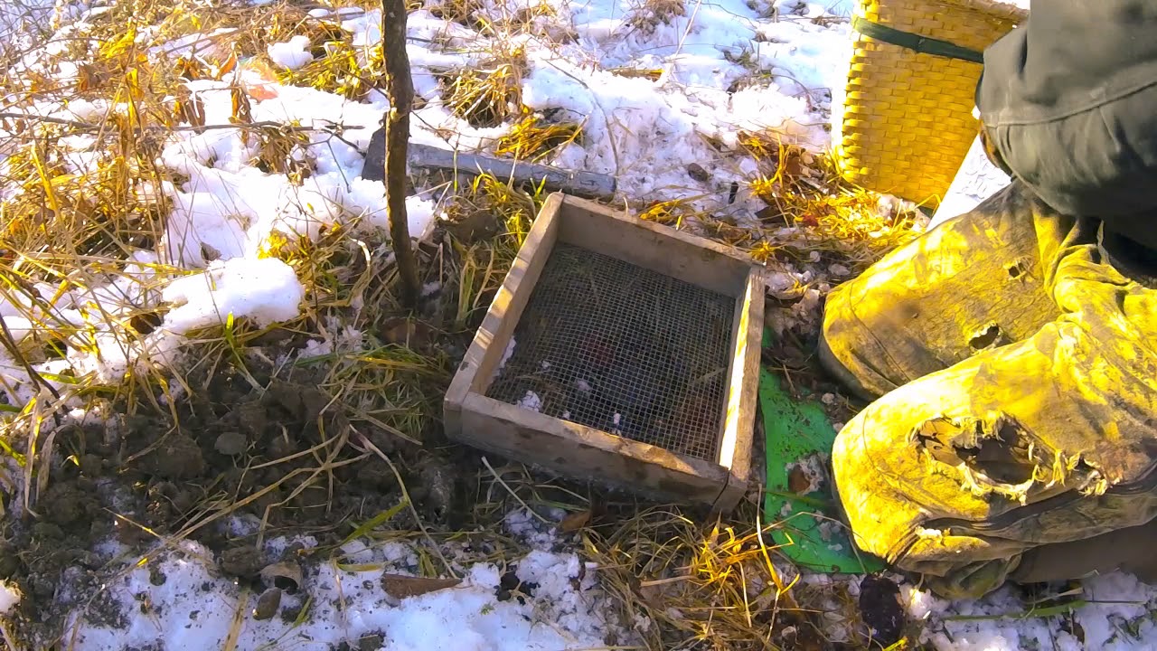 How to make a scent post set - YouTube